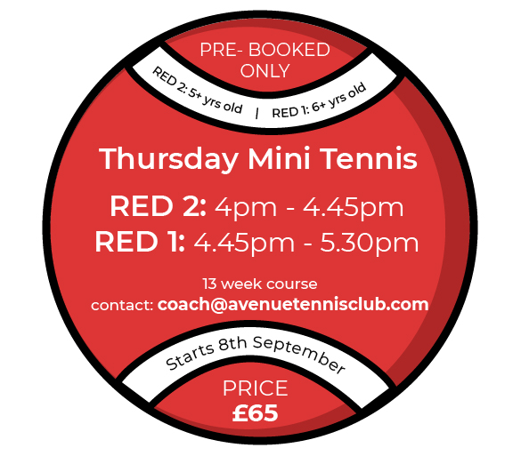 Mini Tennis – The Avenue Lawn Tennis Club